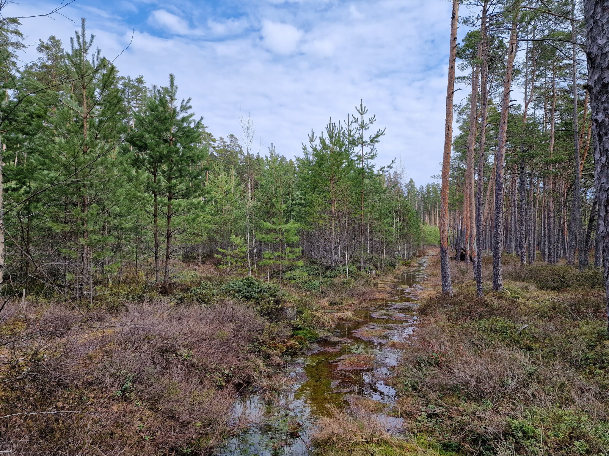 Järvselja raja-ja kaardimeistri infokillud: Peep Teppo, Markus Puusepp ...
